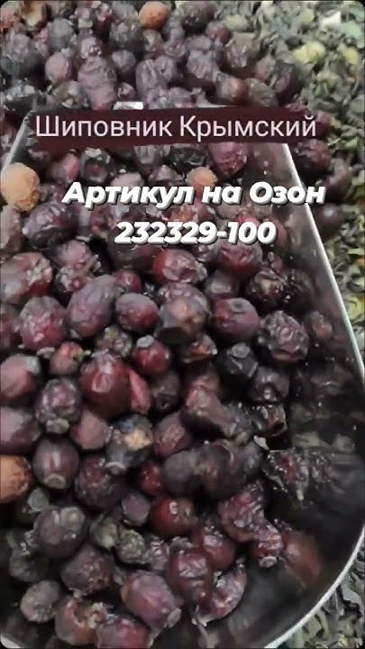 Чай имбирный лимонник. Описаниев коментариях. - YouTube