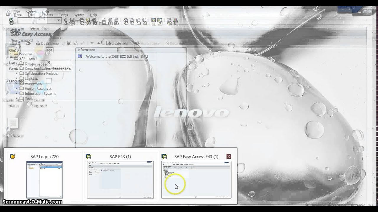 4. SAP Easy Access Screen - YouTube