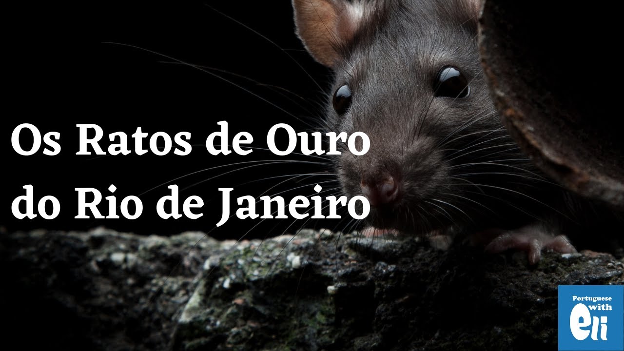 Rio's Golden Rats | Portuguese Listening Practice| Portuguese with Eli ...