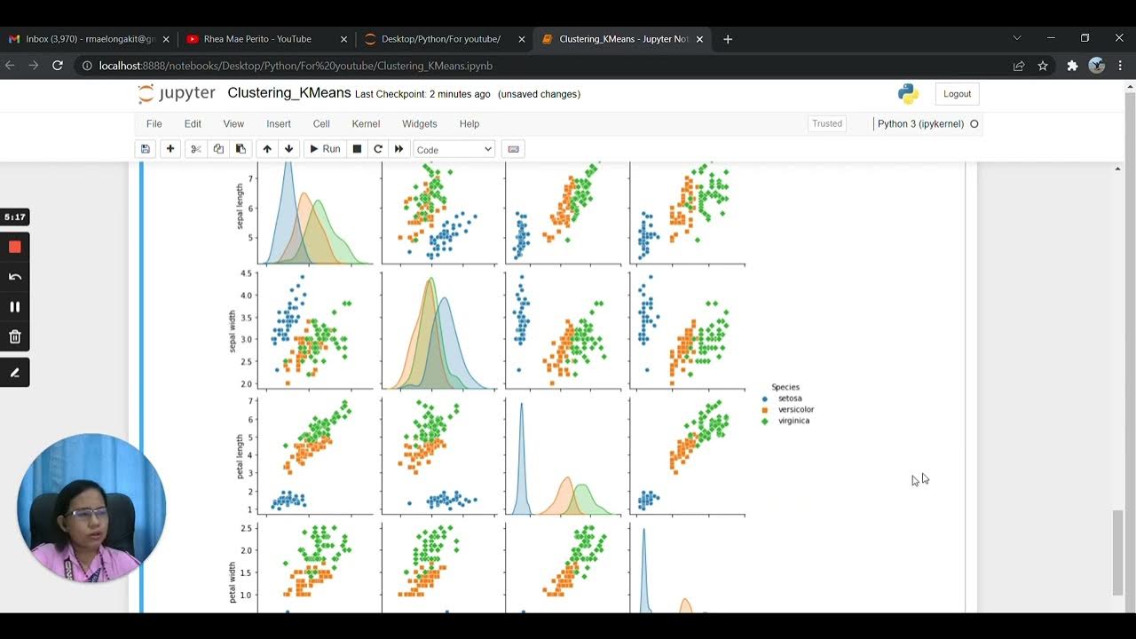Clustering KMeans using Python - YouTube