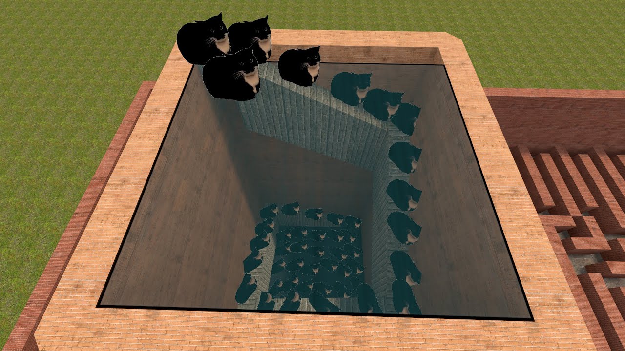 you cant run from army of maxwell cat in maze - YouTube