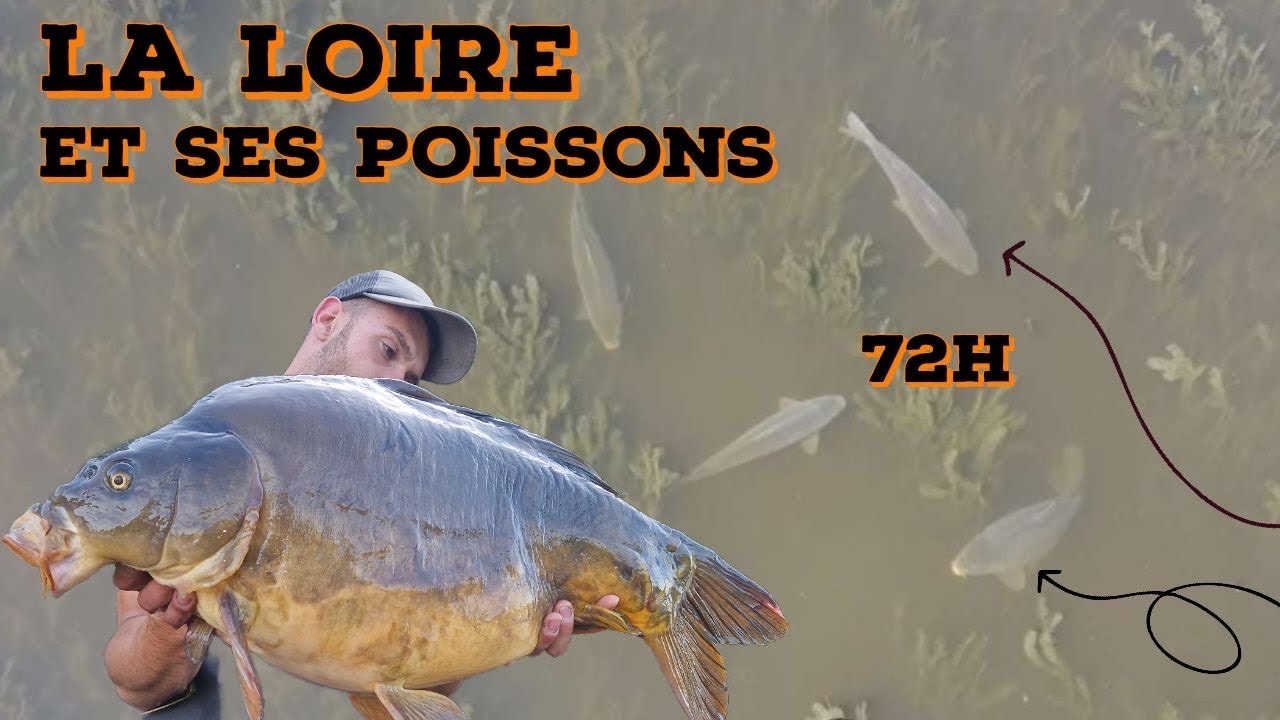 72H en FLEUVE ,les POISSONS répondent PRESENTS !! - YouTube