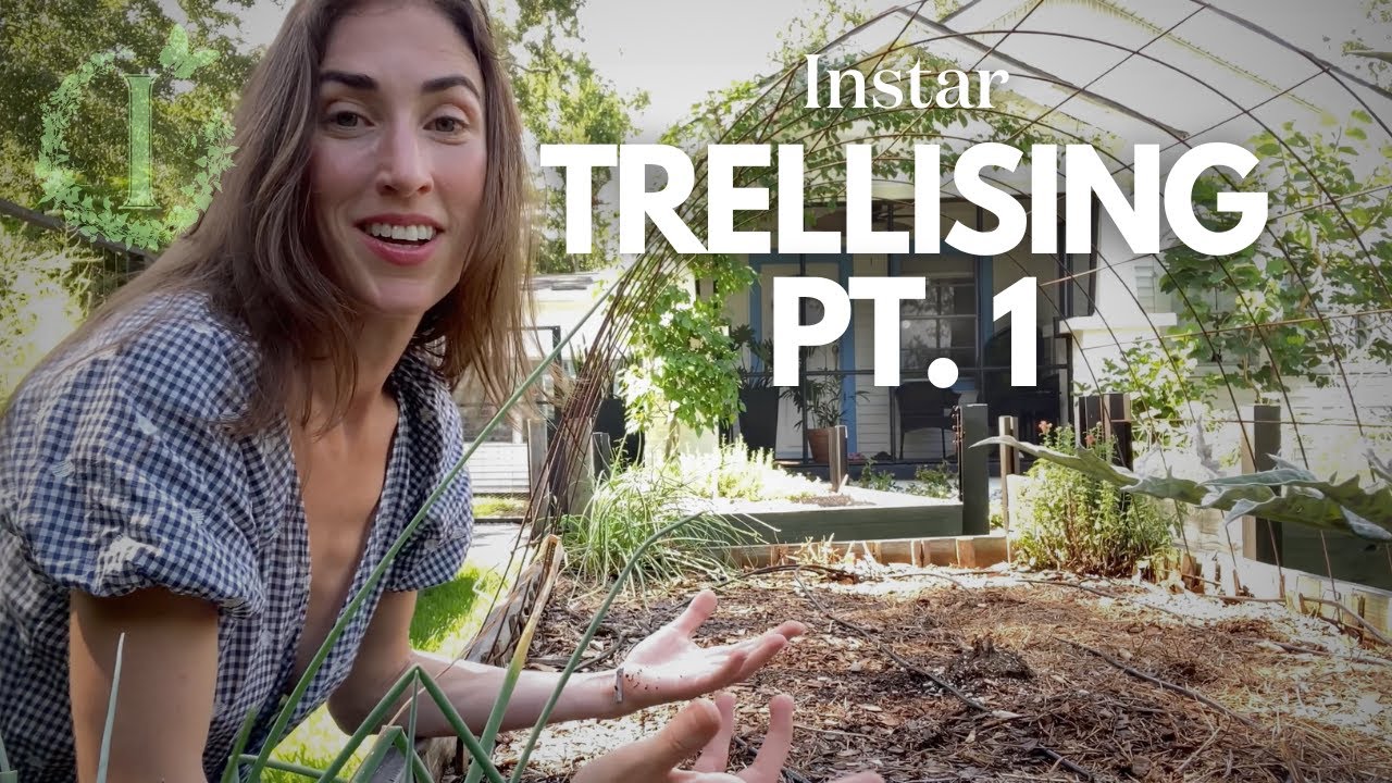 Trellising Techniques: The Ultimate Guide to Vertical Gardening - YouTube