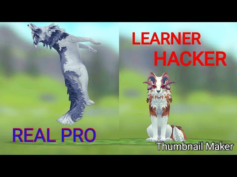 WildCraft - REAL PRO VS LEARNER HACKER - YouTube