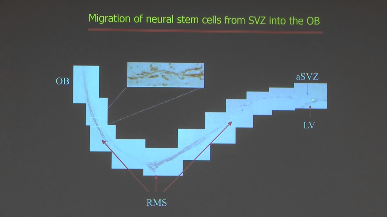 Kunlin Jin - YouTube