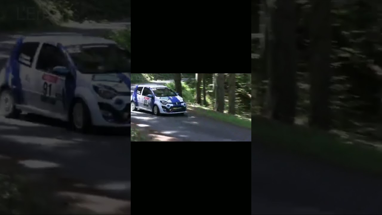 Renault Twingo - "Life, with passion" meme - YouTube