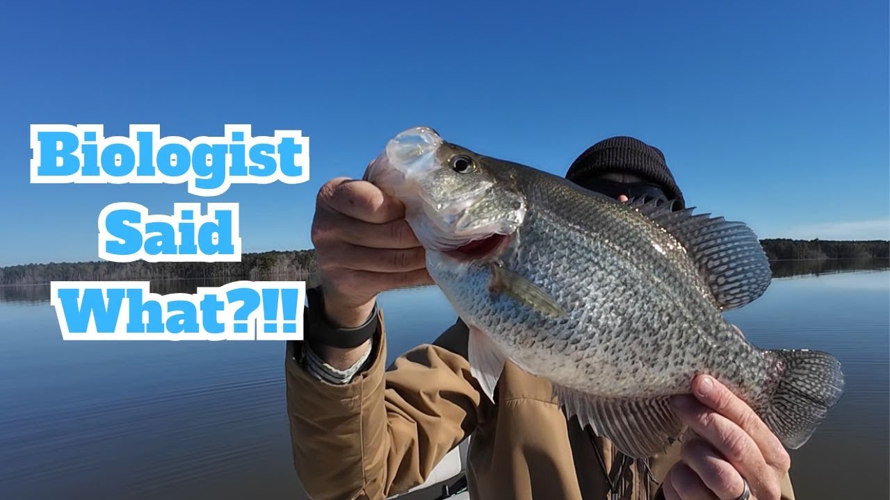 March Crappie Spawn Facts - Fishing with Livescope Footage - YouTube