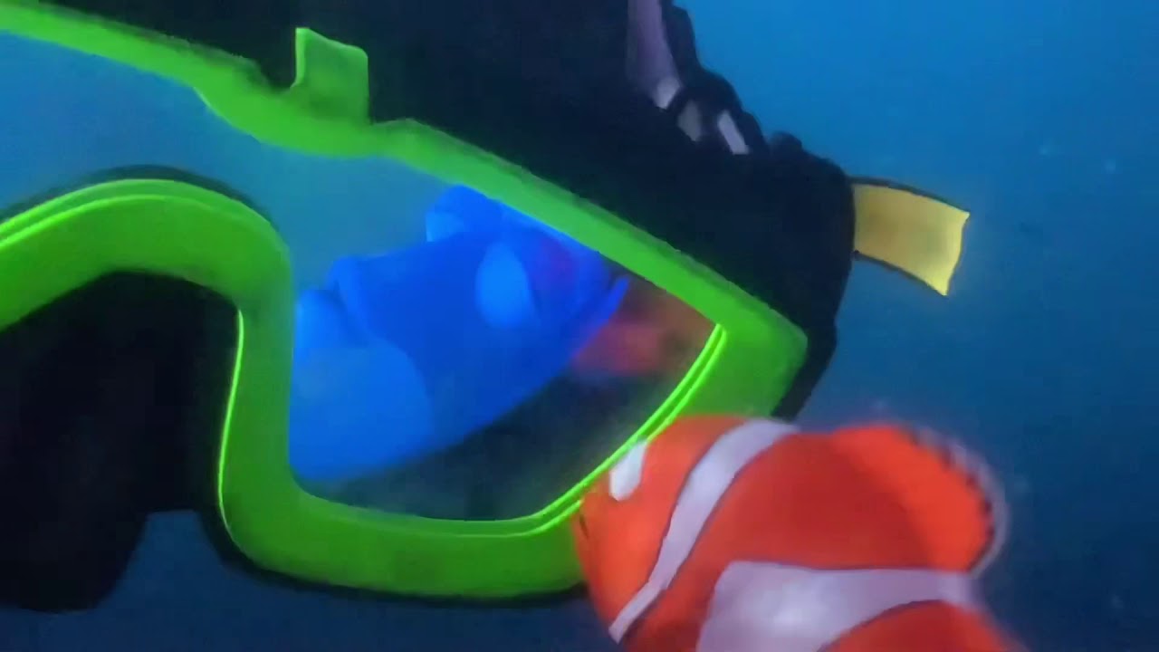Finding Nemo p Sherman 42 wallaby way Sydney in Italian - YouTube