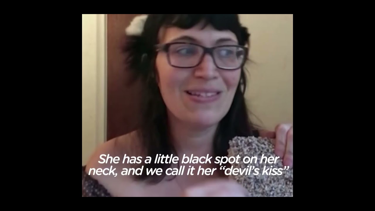 Smush the Cat Finds Her Perfect Family - YouTube