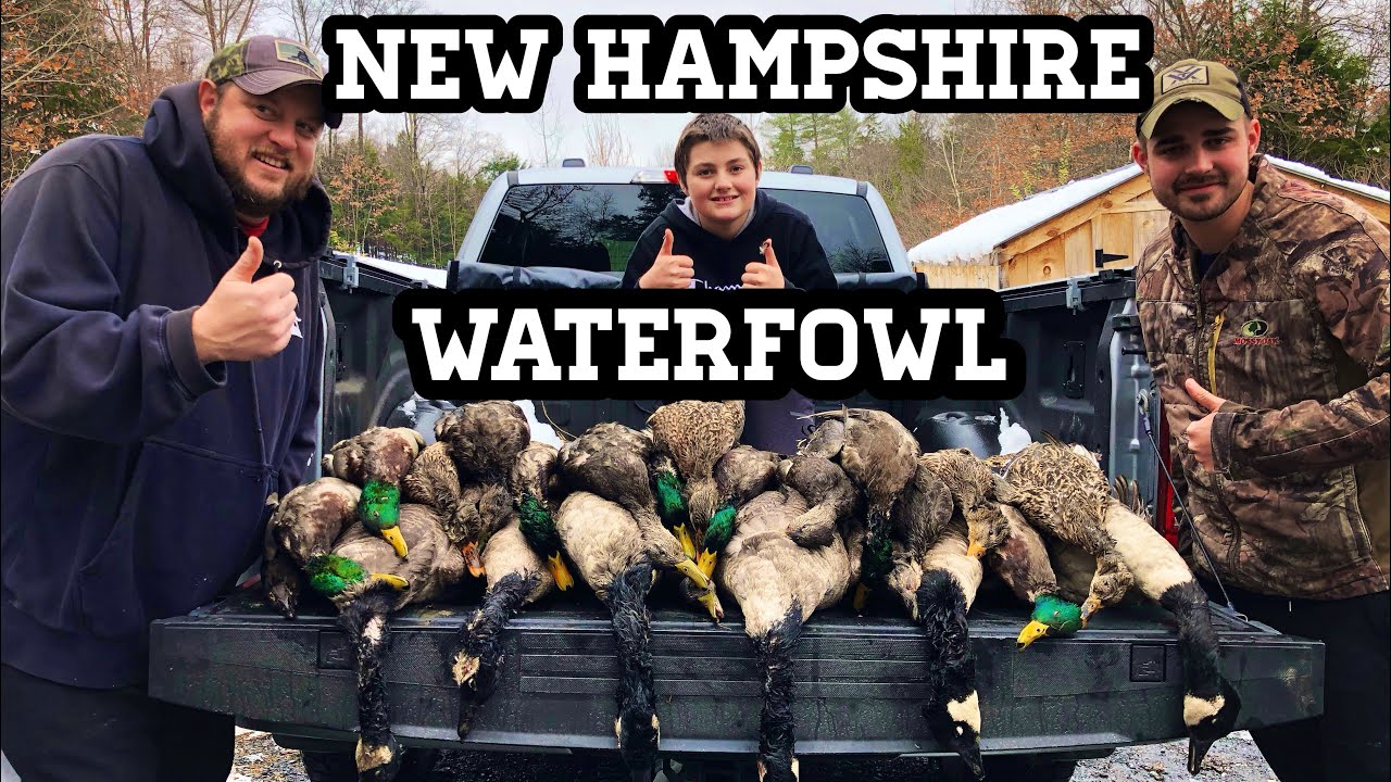 2023 NH DUCKS AND GEESE (Late Season action!) - YouTube