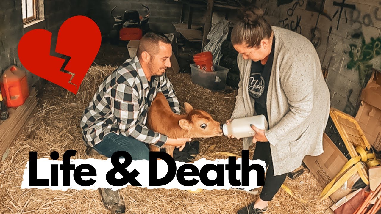 We Tried Everything But She Still Died... - YouTube