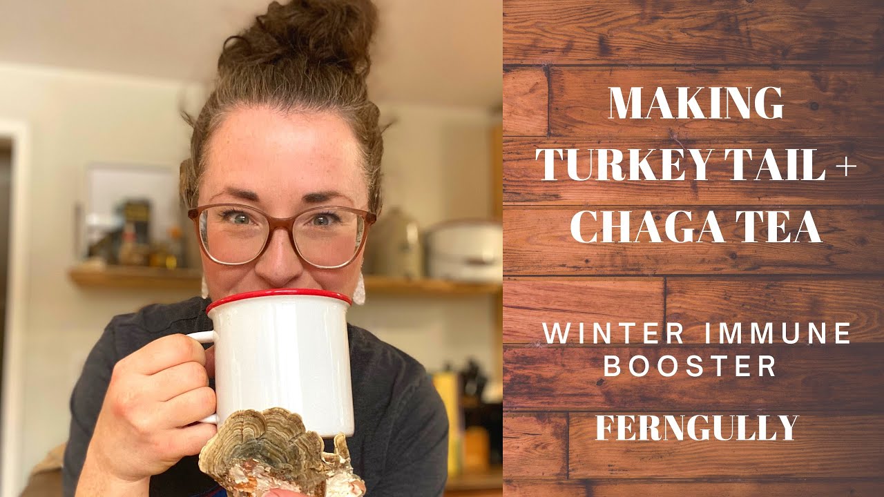 MAKING TURKEY TAIL + CHAGA MUSHROOM TEA | Winter immune booster - YouTube