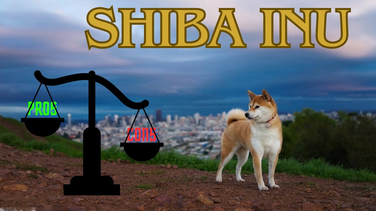 Shiba inu pros and cons. Must know before owning a shiba inu dog!🐕 ...