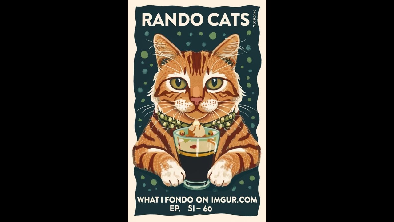 Random cats what I found on imgur.com compilation Ep. 51 - 60 - YouTube