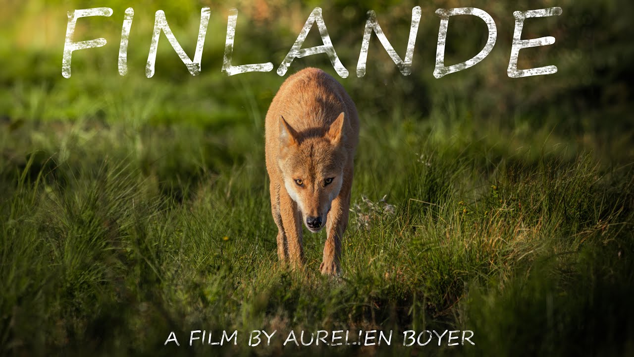 FINLANDE | Film Documentaire - YouTube