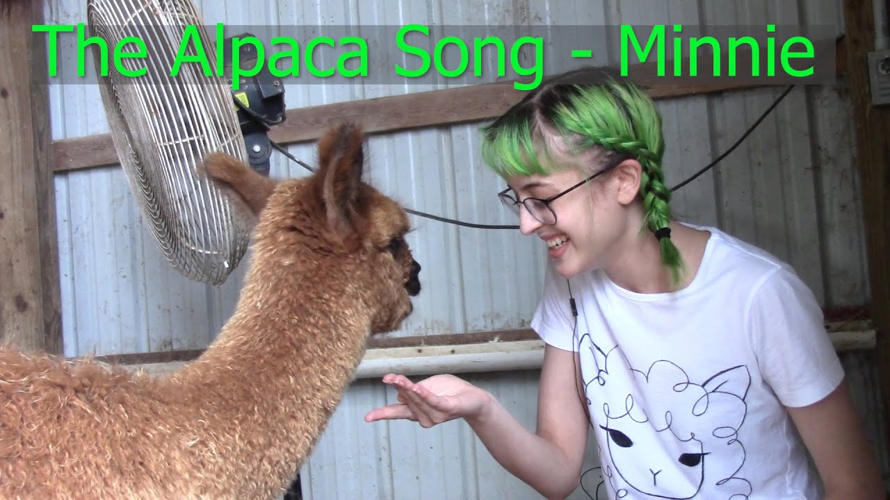 Alpacas - Minnie (Original Song) - YouTube