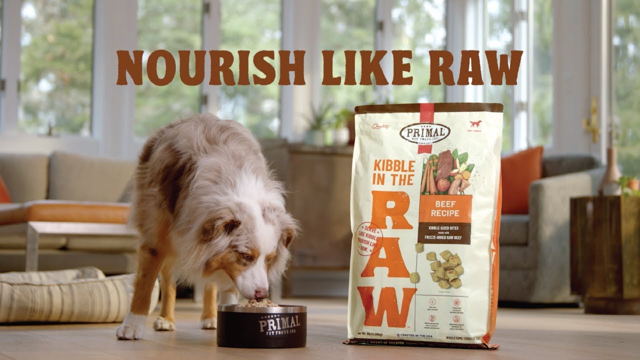 Introducing Kibble in the Raw. - YouTube