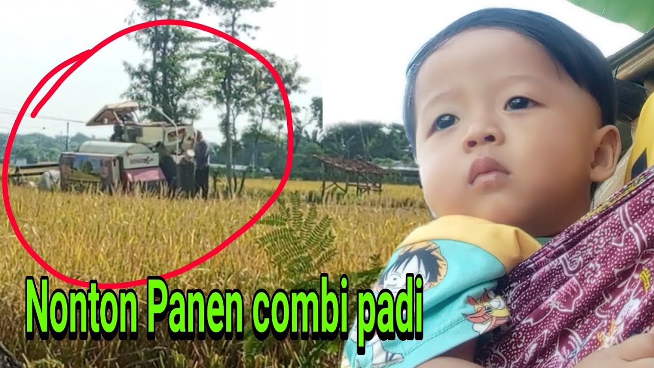 KESERUAN NONTON DOS COMBI PADI BARENG BOCIL | SURADI PUJINAH FAMILY ...