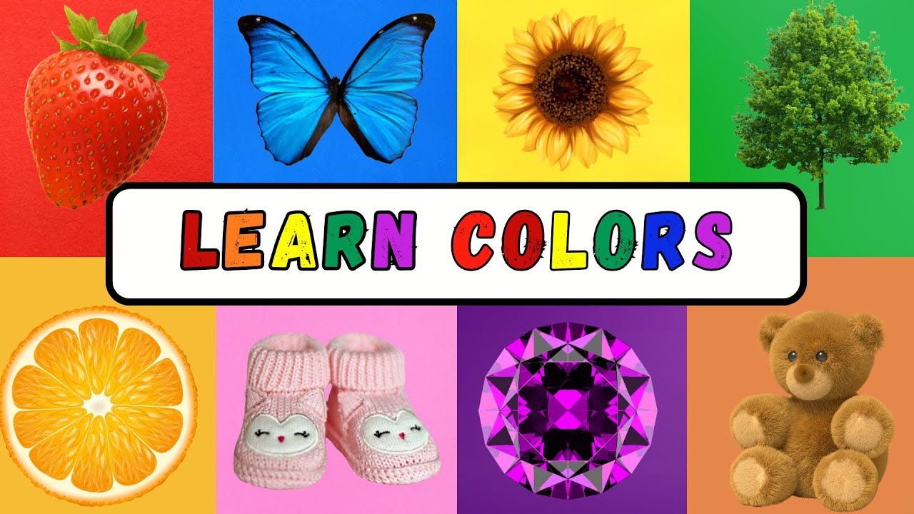 We Love all the Colors! | Learn Colors Song for Preschool Children ...