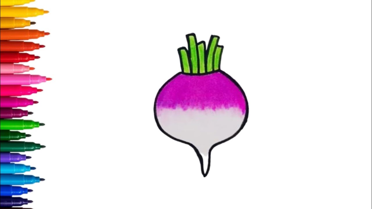 how to draw a turnip drawing easy| vegetables drawing easy @drawing1214 ...