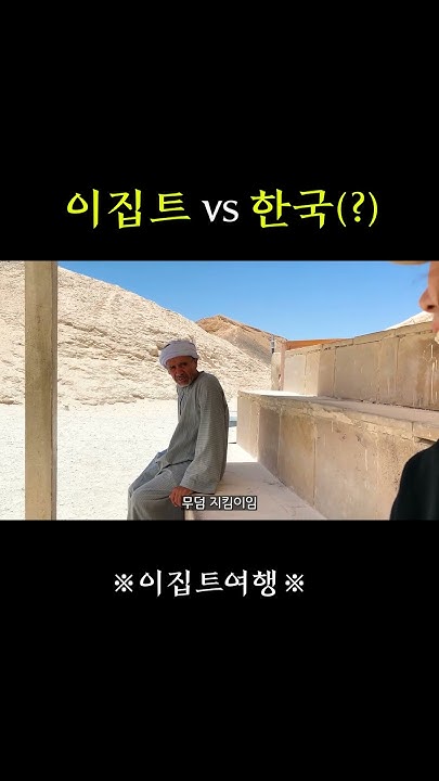 이집트 고양이 한국 고양이 Youtube