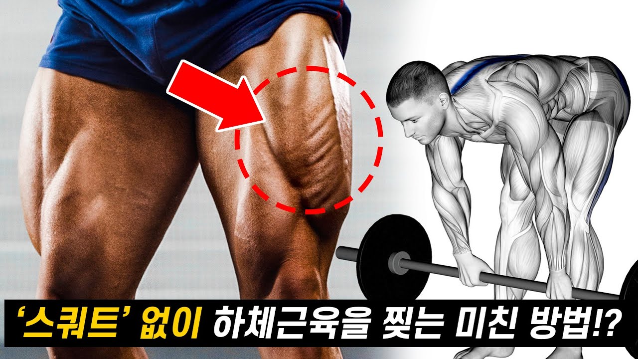 스쿼트 없이 하체근육 키우려면 이 운동을 알아야 합니다 허벅지 둔근 햄스트링 운동 루틴 Youtube