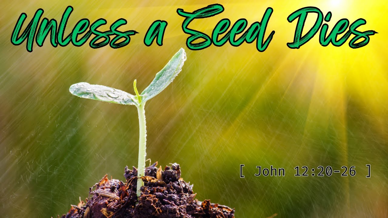 Unless a Seed Dies- How life comes through death [ John 12:20-26 ] by ...