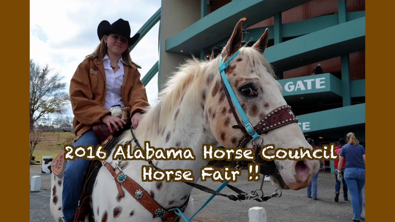 Alabama Horse Council Fair - Garrett Coliseum March 5 & 6th, 2016 ...