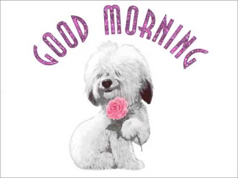 good morning voice message - YouTube