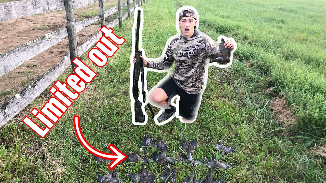 Opening Day Dove Hunting Limited Out Catch, Clean, Cook!!! - YouTube
