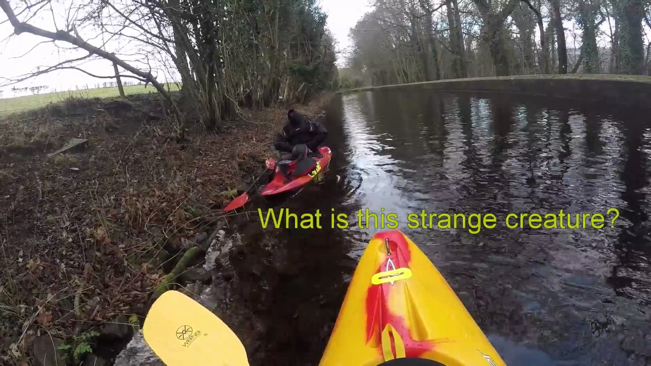 Kayaking Llangollen Canal - YouTube