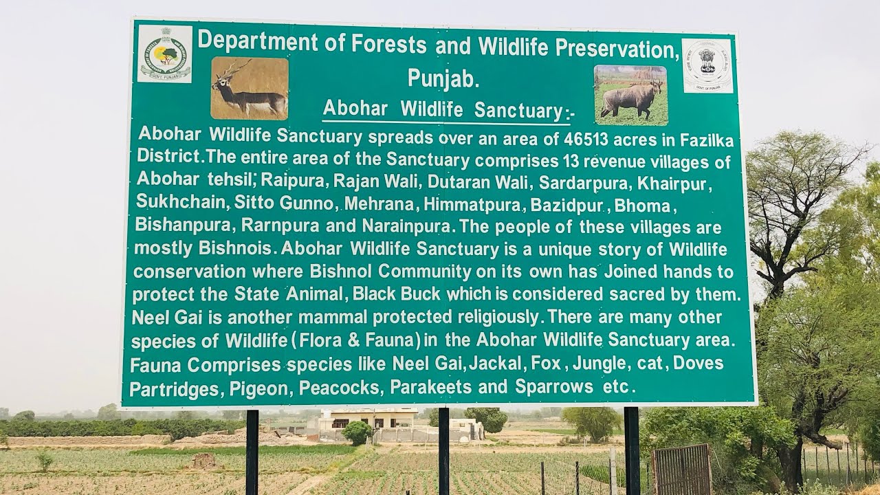 Details about Abohar wildlife sanctuary area - YouTube