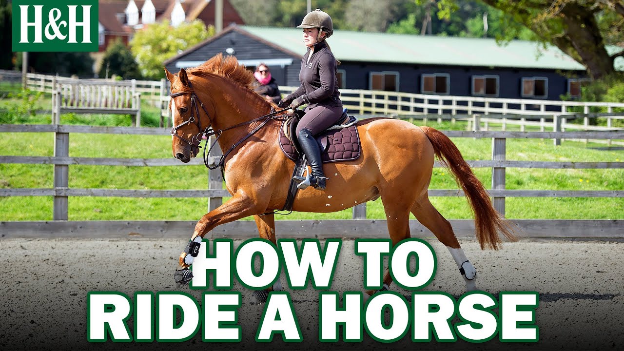How To Ride A Horse | Horse & Hound - YouTube