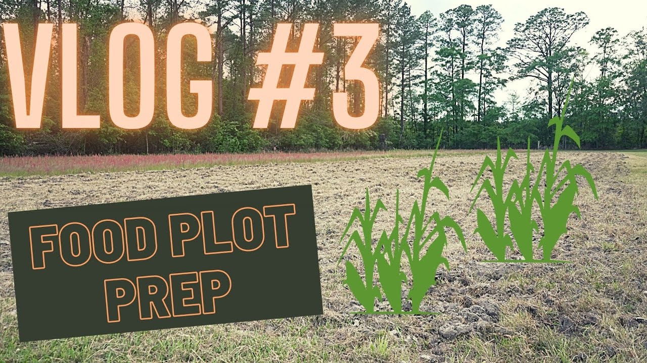 SPRING:SUMMER VLOG #3 FOOD PLOT PREPARATION - YouTube