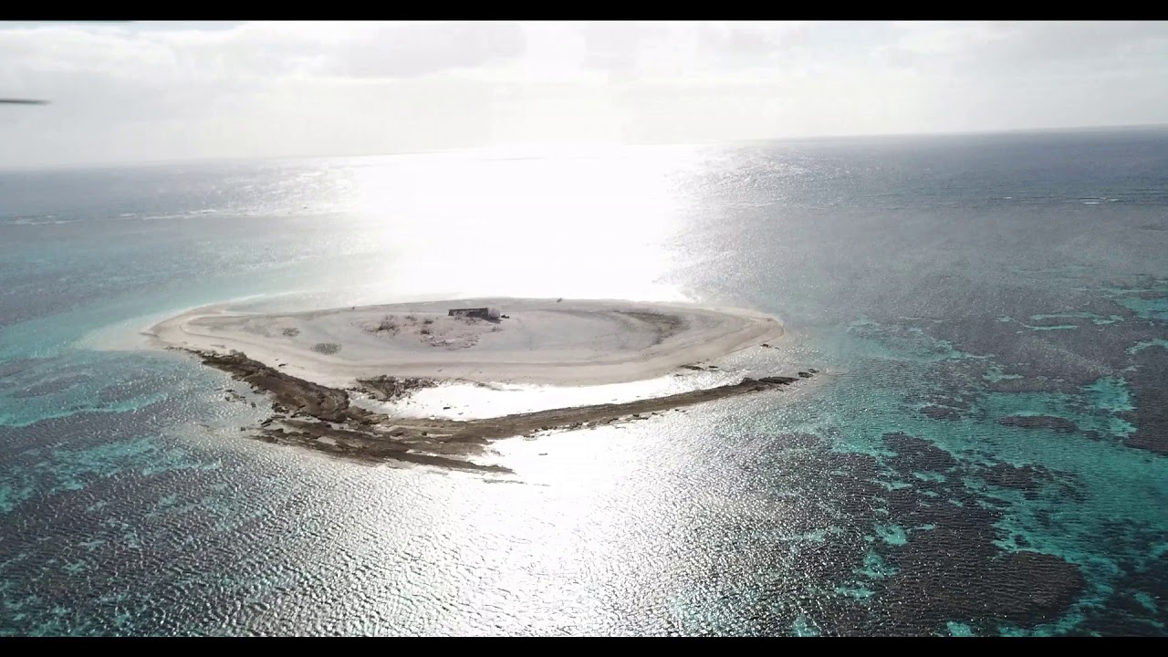 Conway Reef 3d2cr - YouTube