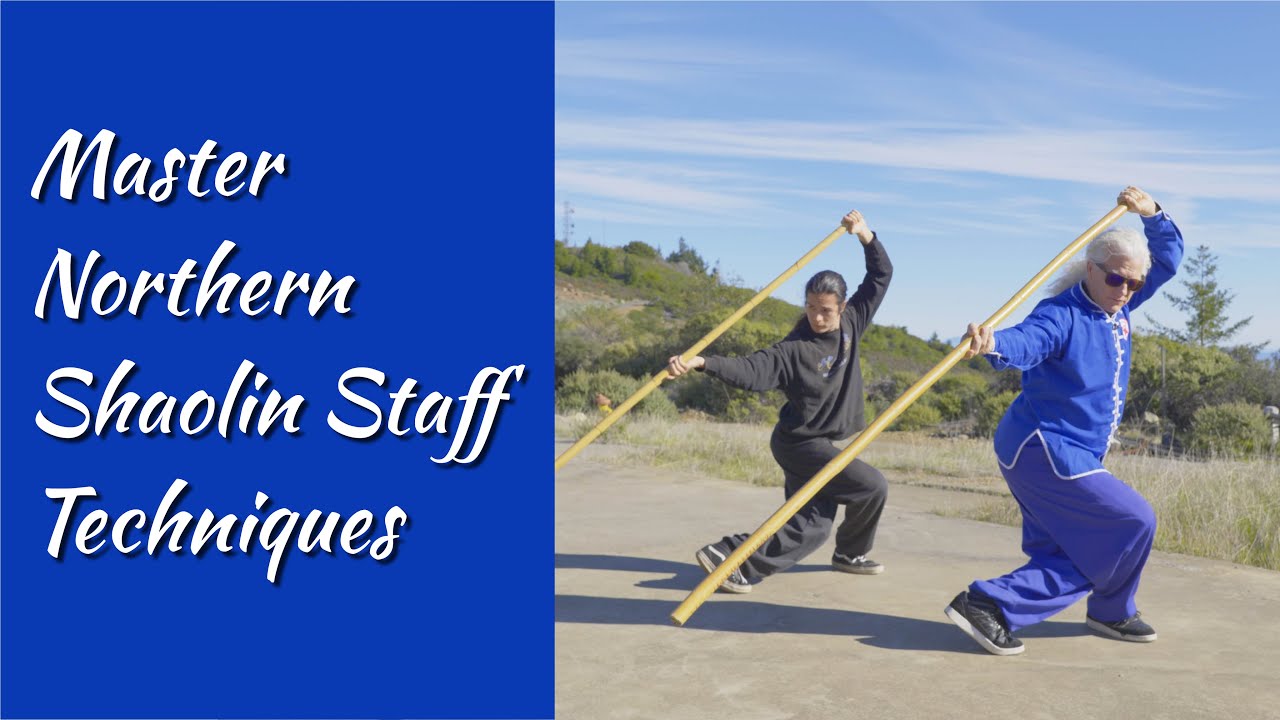 Northern Shaolin Earth Dragon Staff - Techniques - YouTube