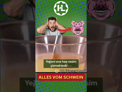 Alles vom Schwein | Herşey Domuzdan
