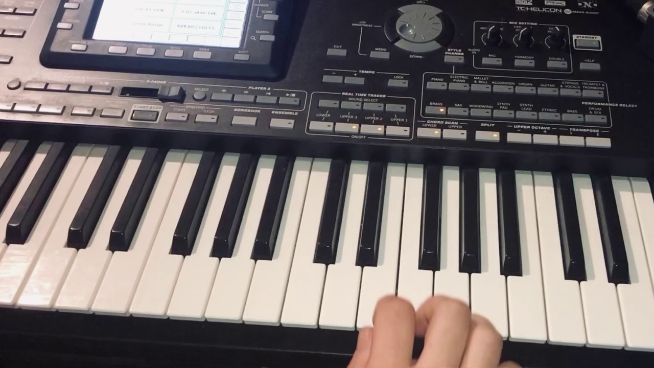 😍𝑯𝒐𝒈𝒏𝒆𝒄𝒊𝒏 𝑻𝒆𝒗𝒆𝒓𝒔,𝑲𝒃𝒆𝒓𝒆𝒔 𝑲𝒃𝒆𝒓𝒆𝒔😍 - YouTube