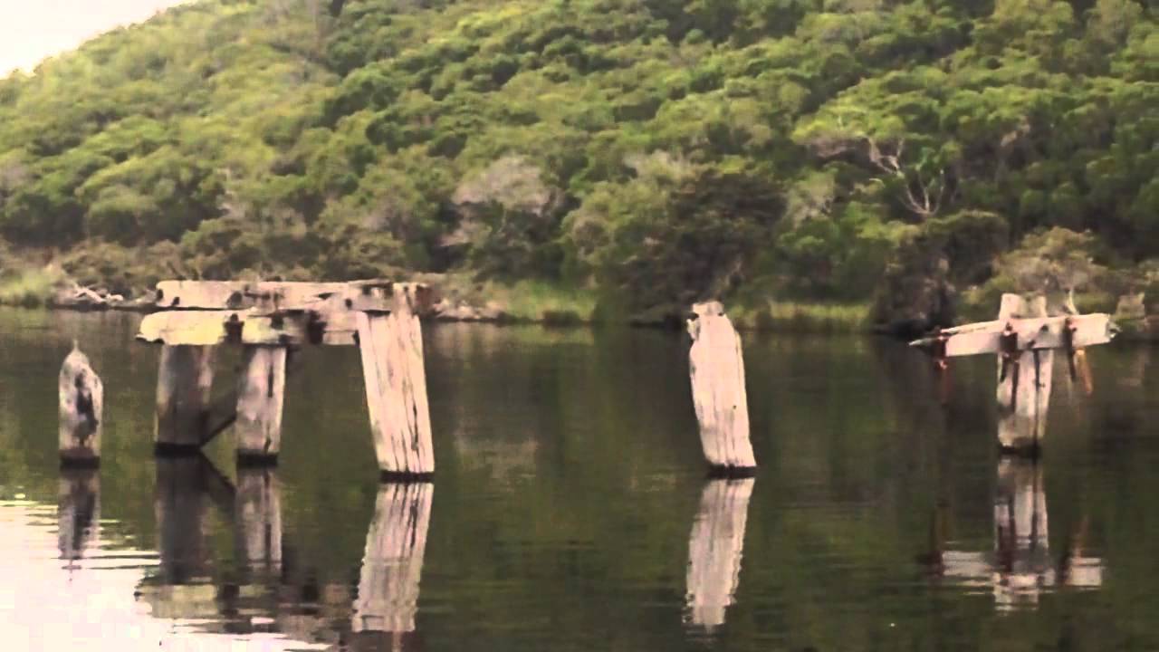 video one - Torbay Inlet - YouTube