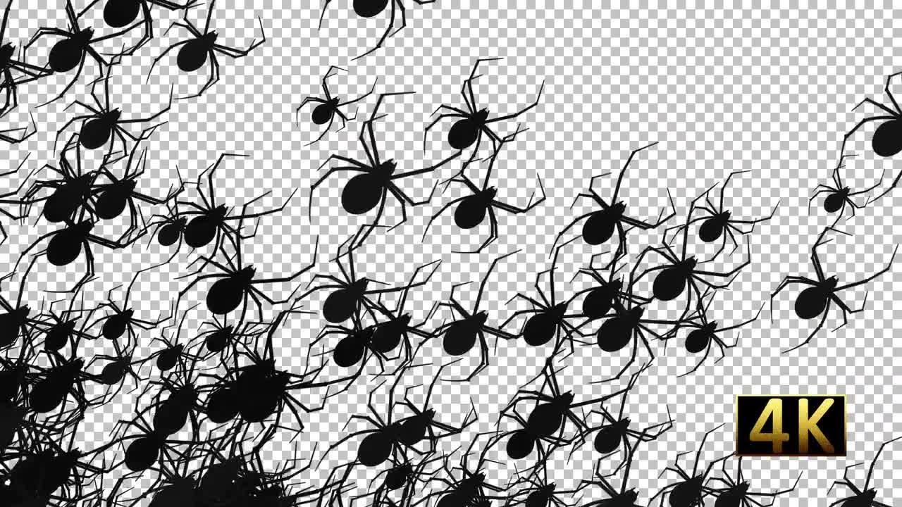Spider Transitions Pack 4K Motion Graphics - YouTube