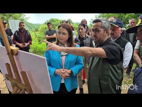 KARADENİZ'DE KATİL ARILARA KARŞI TERMİNATÖR BÖCEKLER