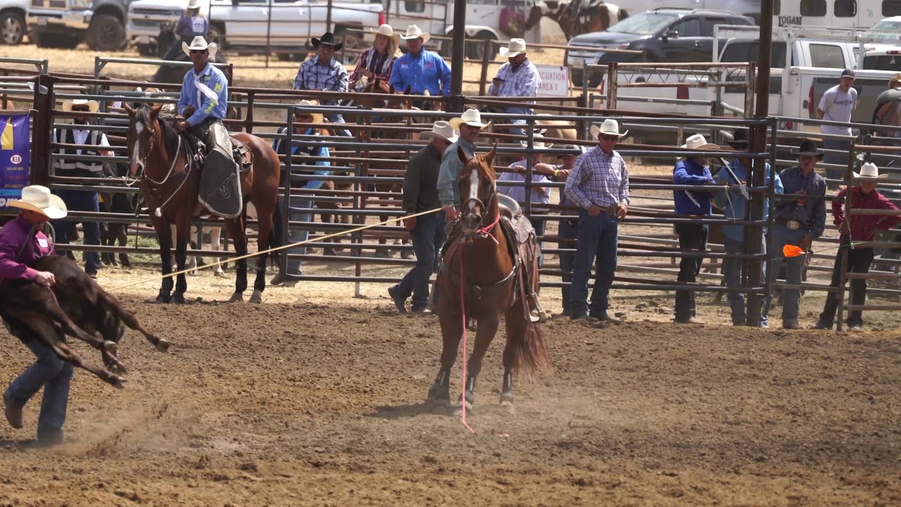 Gilroy Rodeo Tie down Roper - YouTube