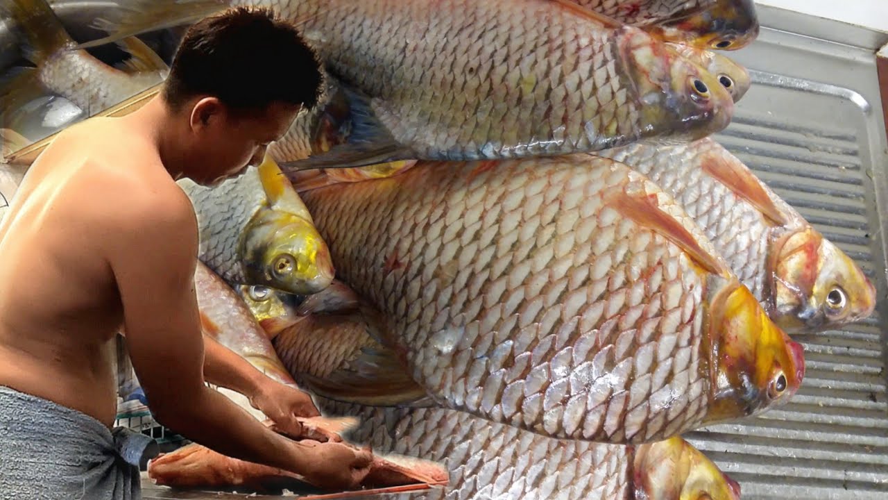 Cara Masri Aing siang ikan mengalan. - YouTube