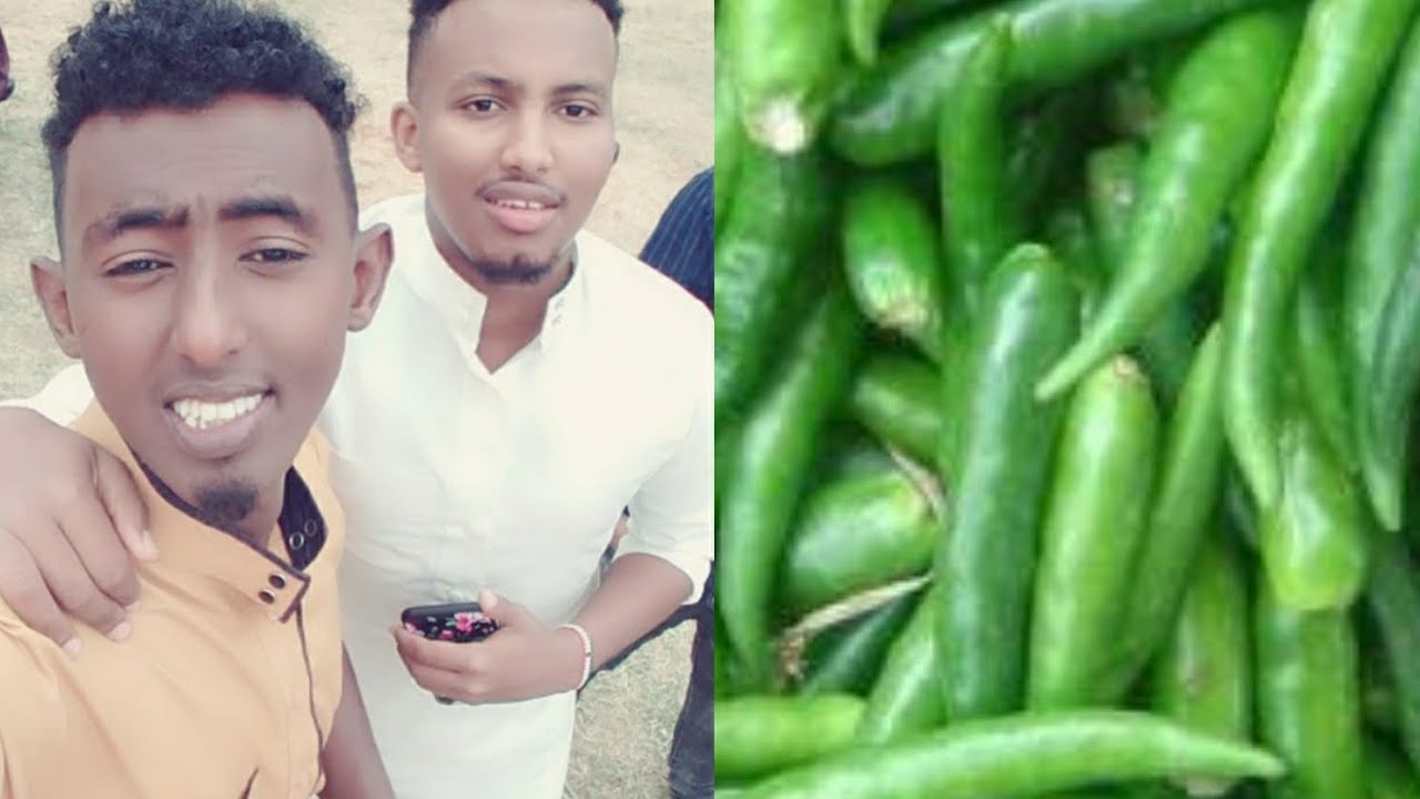 CHALLENGE: AHMED GUREY OO BAS BAAS LOOGA OOYSIYAY .. - YouTube