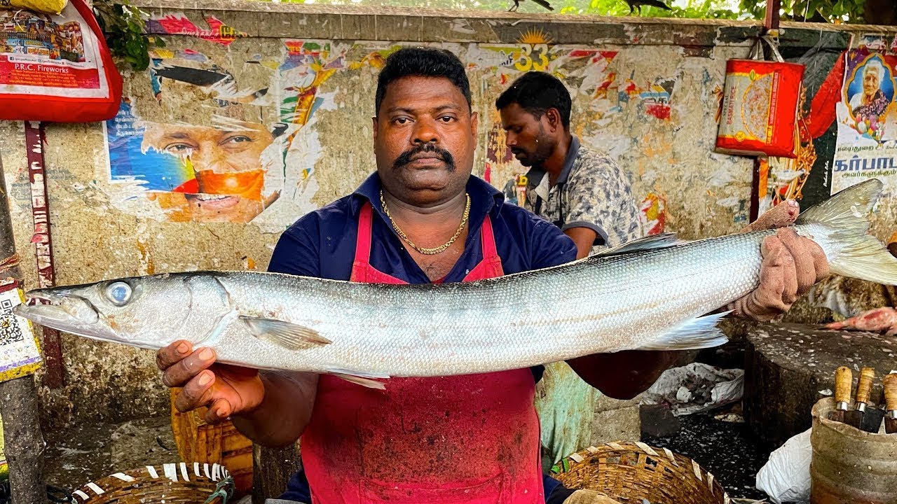 KASIMEDU🔥SPEED SELVAM BARRACUDA FISH CUTTING 🔥IN KASIMEDU FISH CUTTING ...