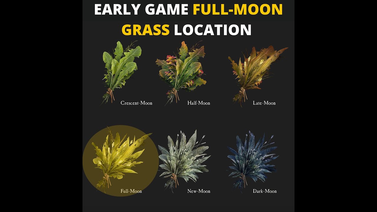 Demon's Souls remake - easy farming for 1/2 full moon grass + 640 souls ...