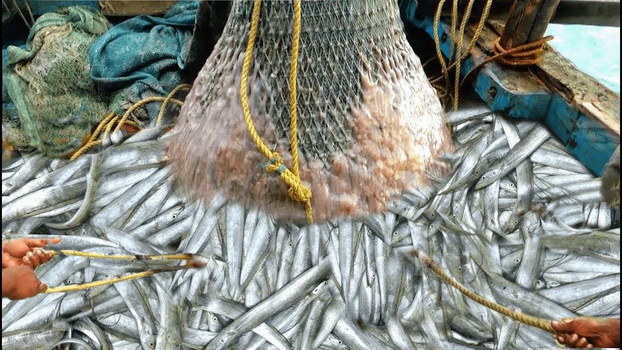 TRAWL NET FISHING VIDEOS EPISODE 8 - YouTube