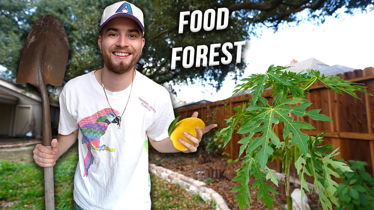 Starting a FOOD FOREST on a BUDGET! Urban Permaculture in Zone 9 Texas ...