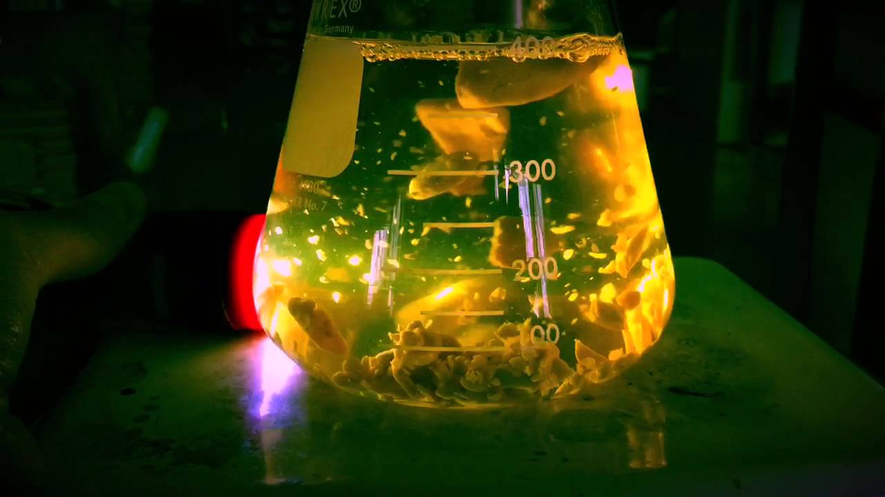 Fermentation technology: Yeast flocculation - YouTube