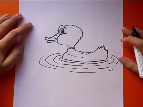Como dibujar un pato paso a paso 3 | How to draw a duck 3 - YouTube